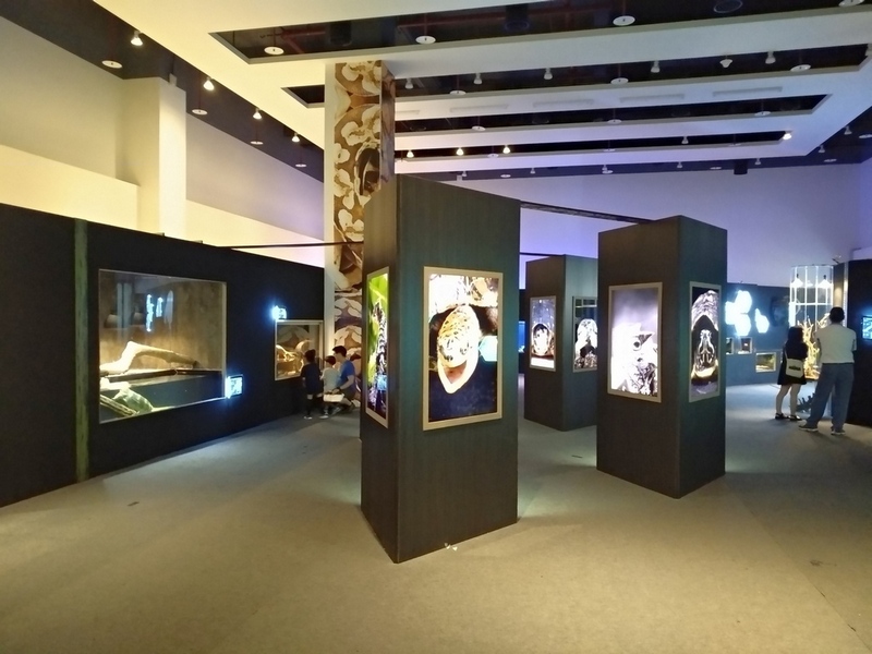 Government Public Information National Museum of Marine Science ...